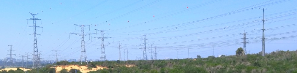 EMF Assessment and Remediation